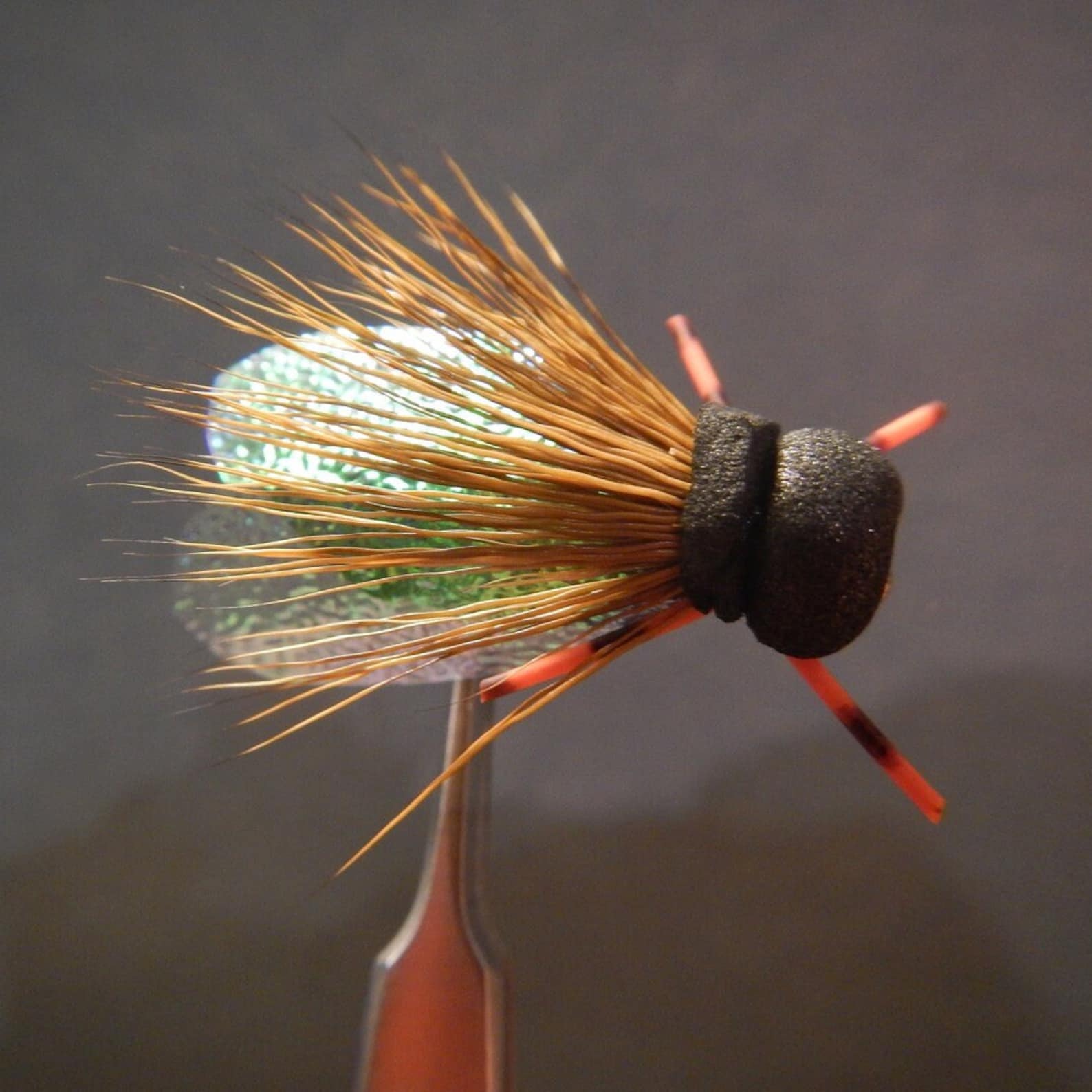 Cicada Fly 6 Flies - Etsy