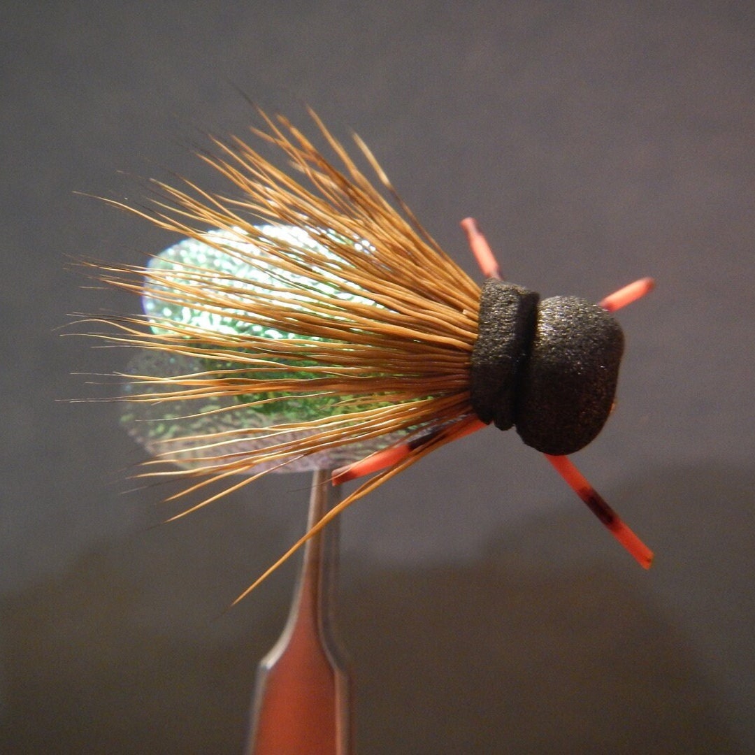 Cicada Fly (6 Flies) - Etsy