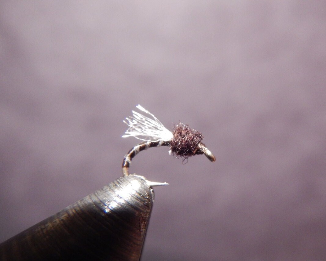Top Secret Midge (6 Flies) - Etsy