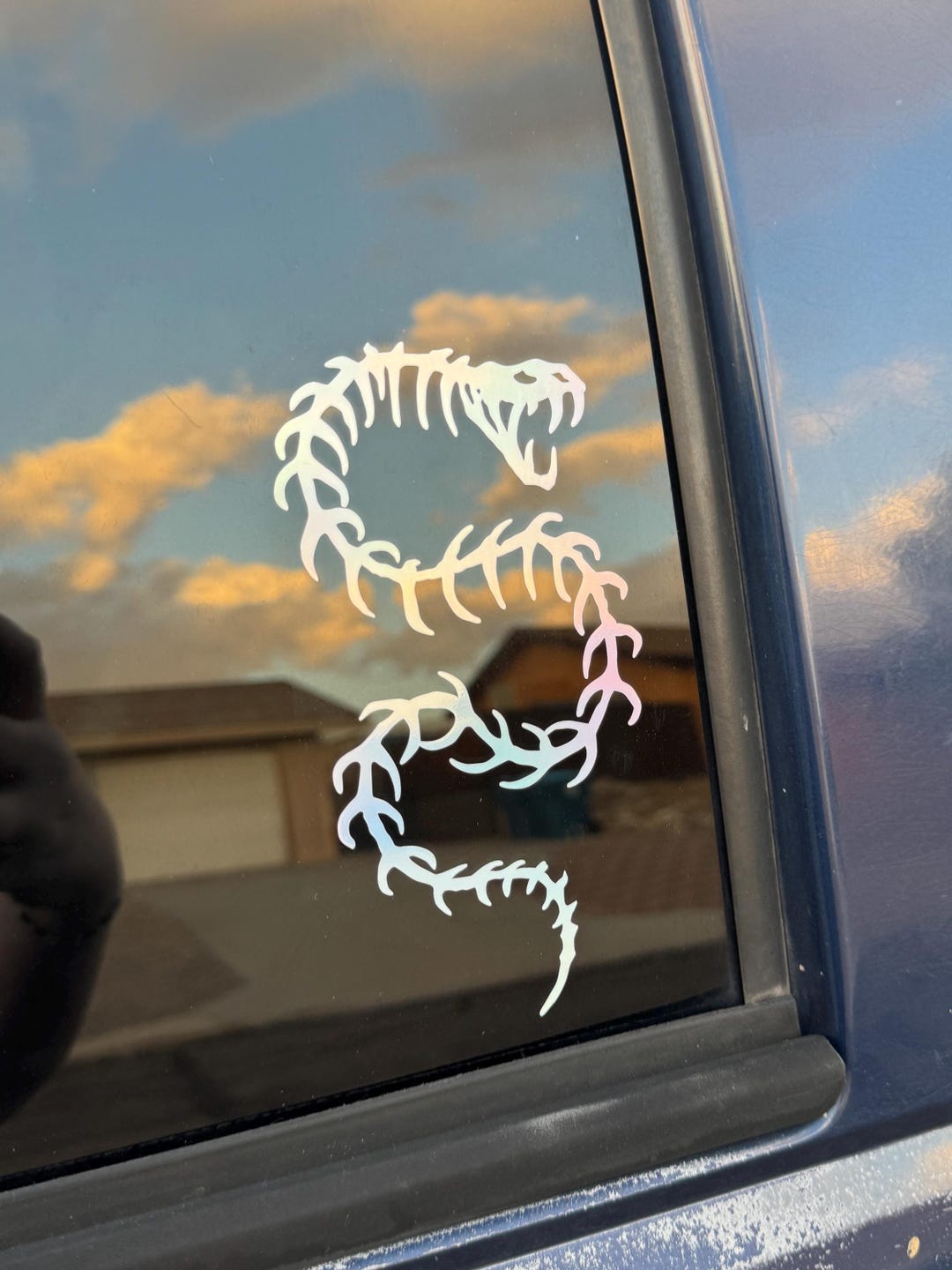 Snake Skeleton Decal/ Bone Car Decal/ Bumper Sticker - Etsy
