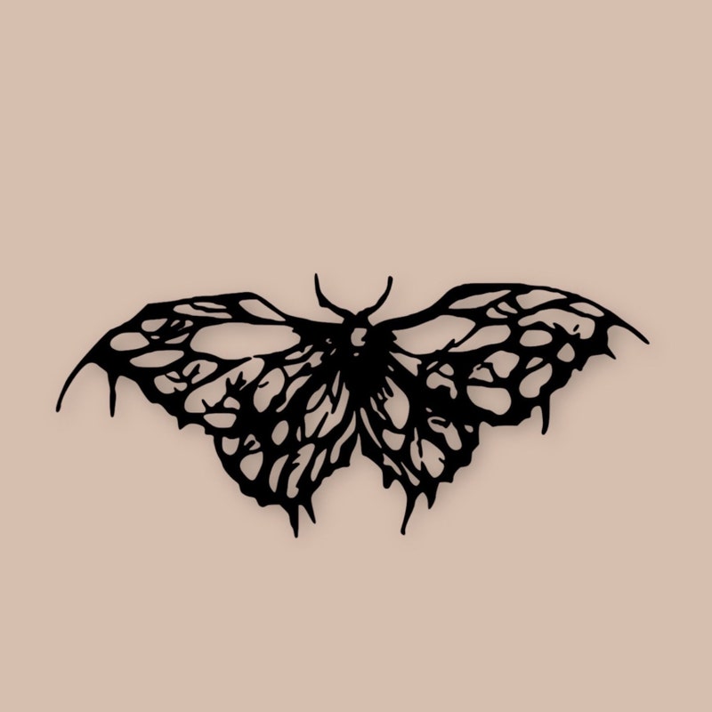 Moth Laptop Sticker - Etsy