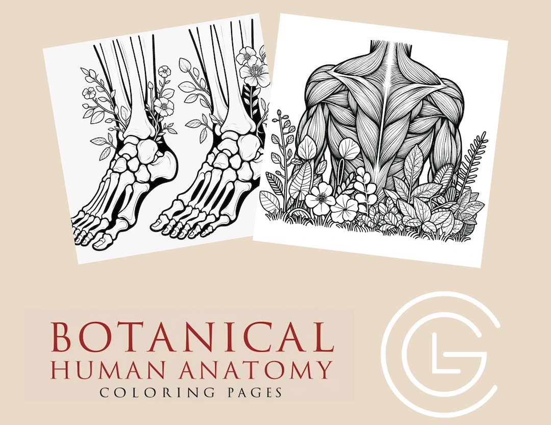 Botanical Human Anatomy Coloring Pages-10 Pages - Etsy