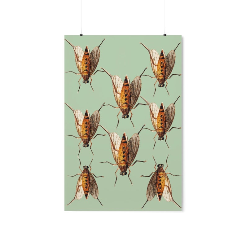 Vintage Poster, Jade Green ,blowfly,insect Flies, Fine Art,illustration ...