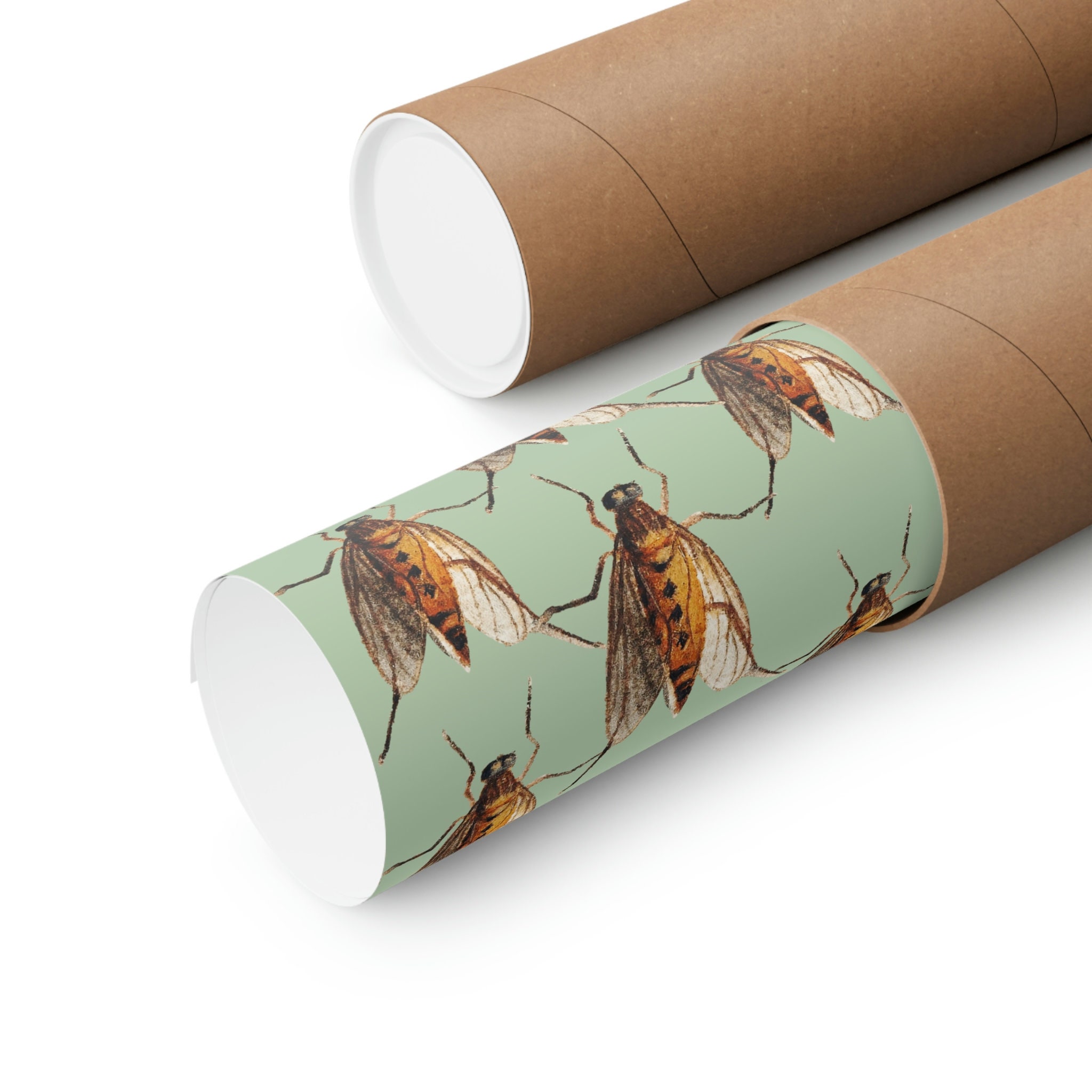 Vintage Poster, Jade Green ,blowfly,insect Flies, Fine Art,illustration ...