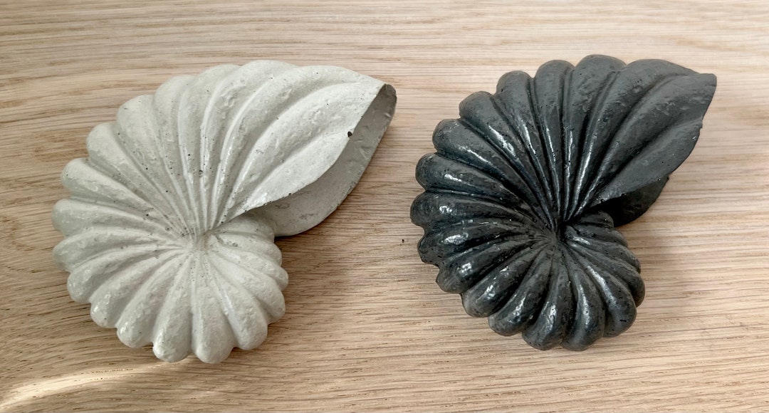 Shell Snail Concrete Bathroom Decoration Ammonite Maritime Sea Stone ...