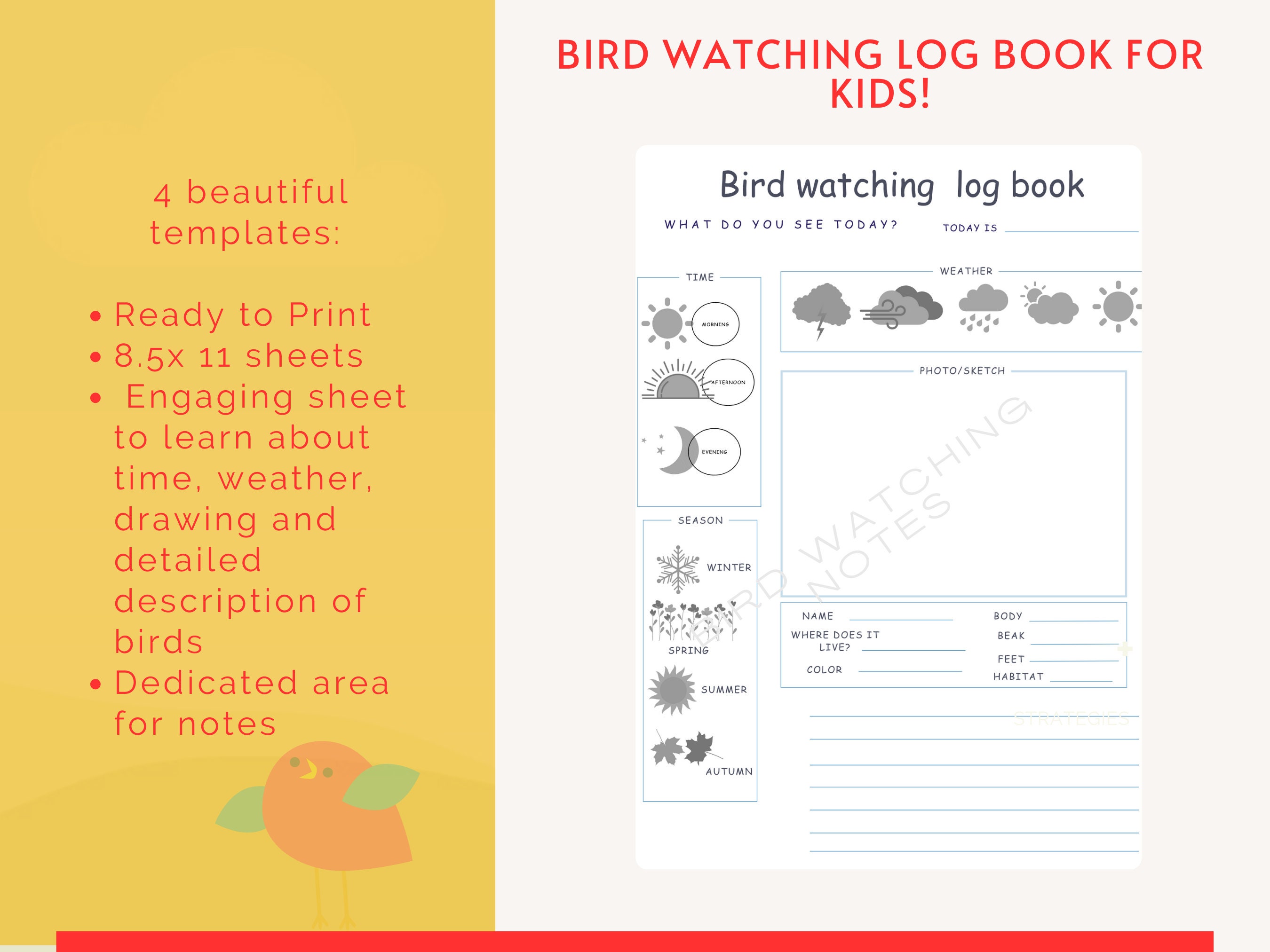 Bird Watching Log Journal for Kids Bird Watching Nature Journal Bird ...