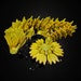 Sunflower Dragon 3D Printed Articulated Sunflower Dragon 20 Inches Long ...
