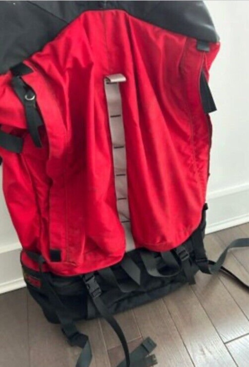 Dana Design Arcflex Alpine Backpack - Etsy