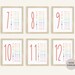 Printable Times Table Posters for Multiplication Facts 1 to 12 Set of ...