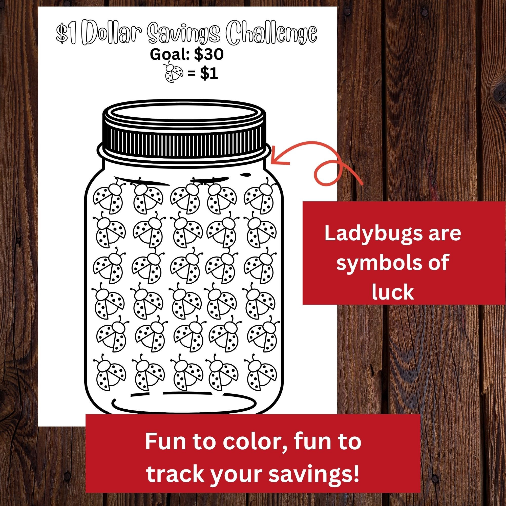 Lucky Ladybug Savings Challenge Tracker Printable Money - Etsy