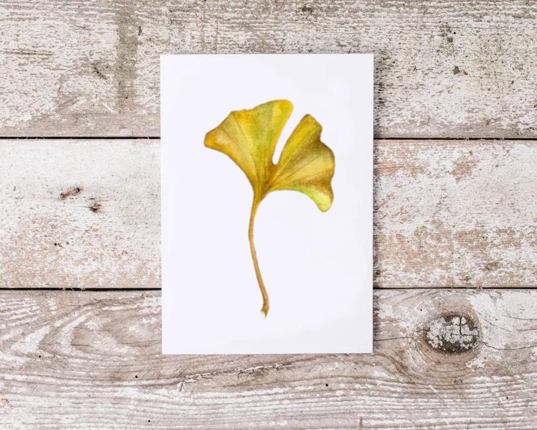 Original Watercolor Painting Fall Ginkgo, Room Decor, Ginkgo Leaves ...