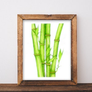 Unique Original Watercolor Painting Bamboo Plant, Green Plant Art ...