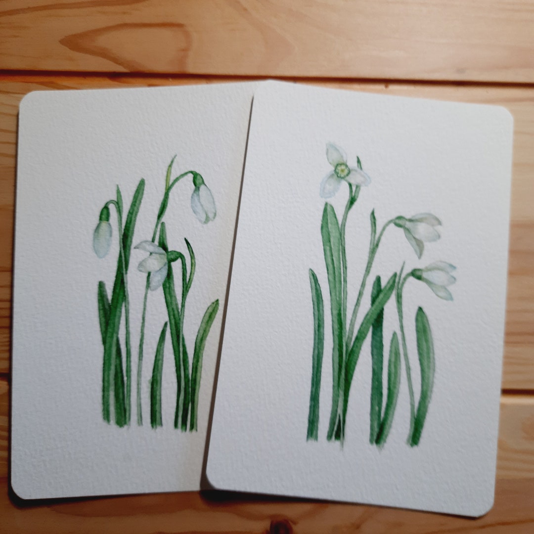 Original Watercolor Painting Snowdrop, Unique Watercolor Snowdrop ...