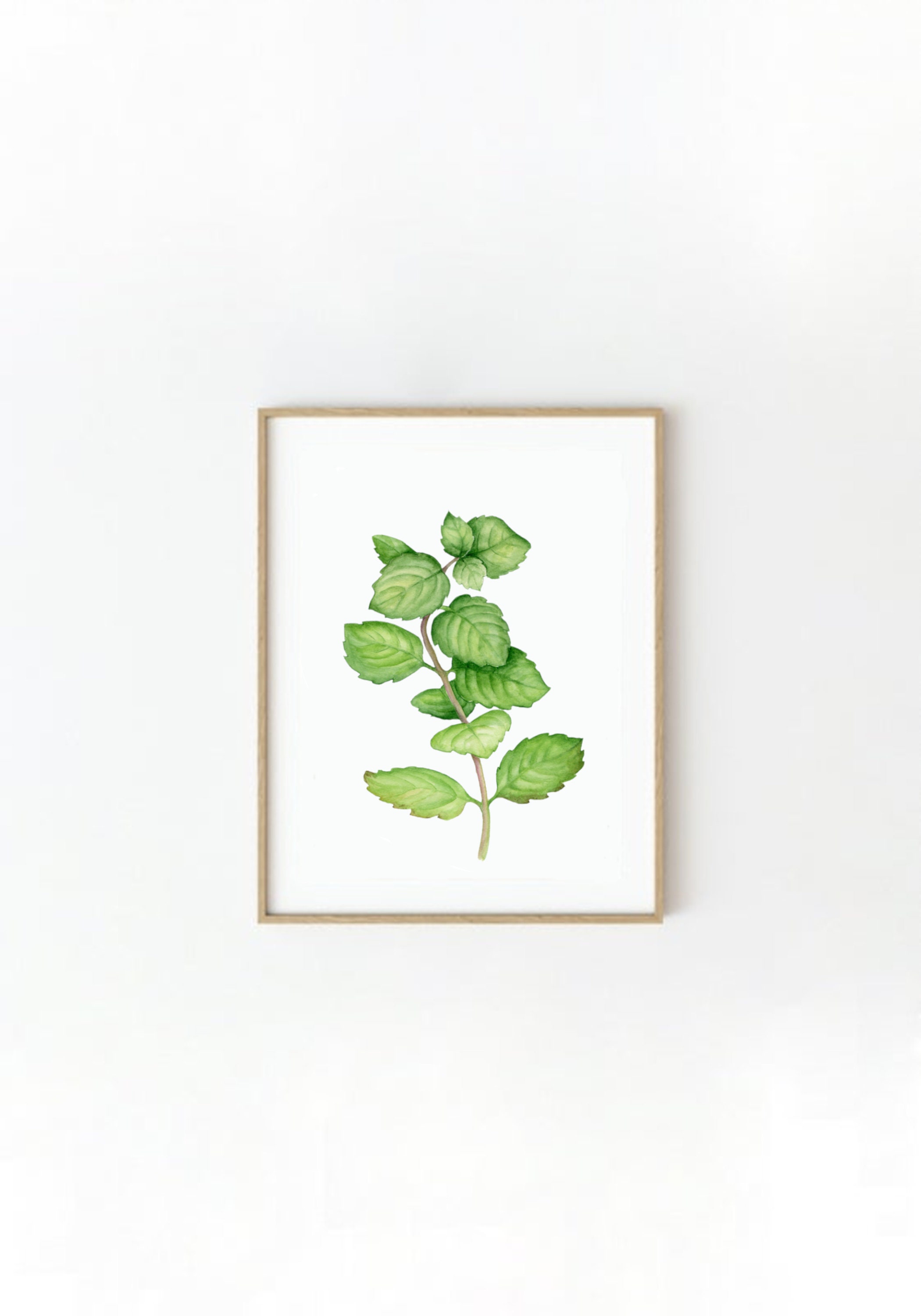 Original Watercolor Painting Grapefruit Peppermint, Unique Art ...