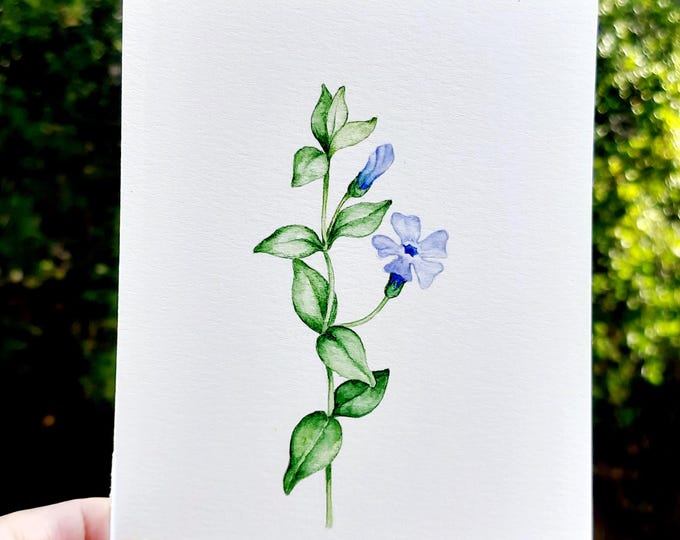 Unique Original Watercolor Painting Periwinkle, Violet-purple Flower ...