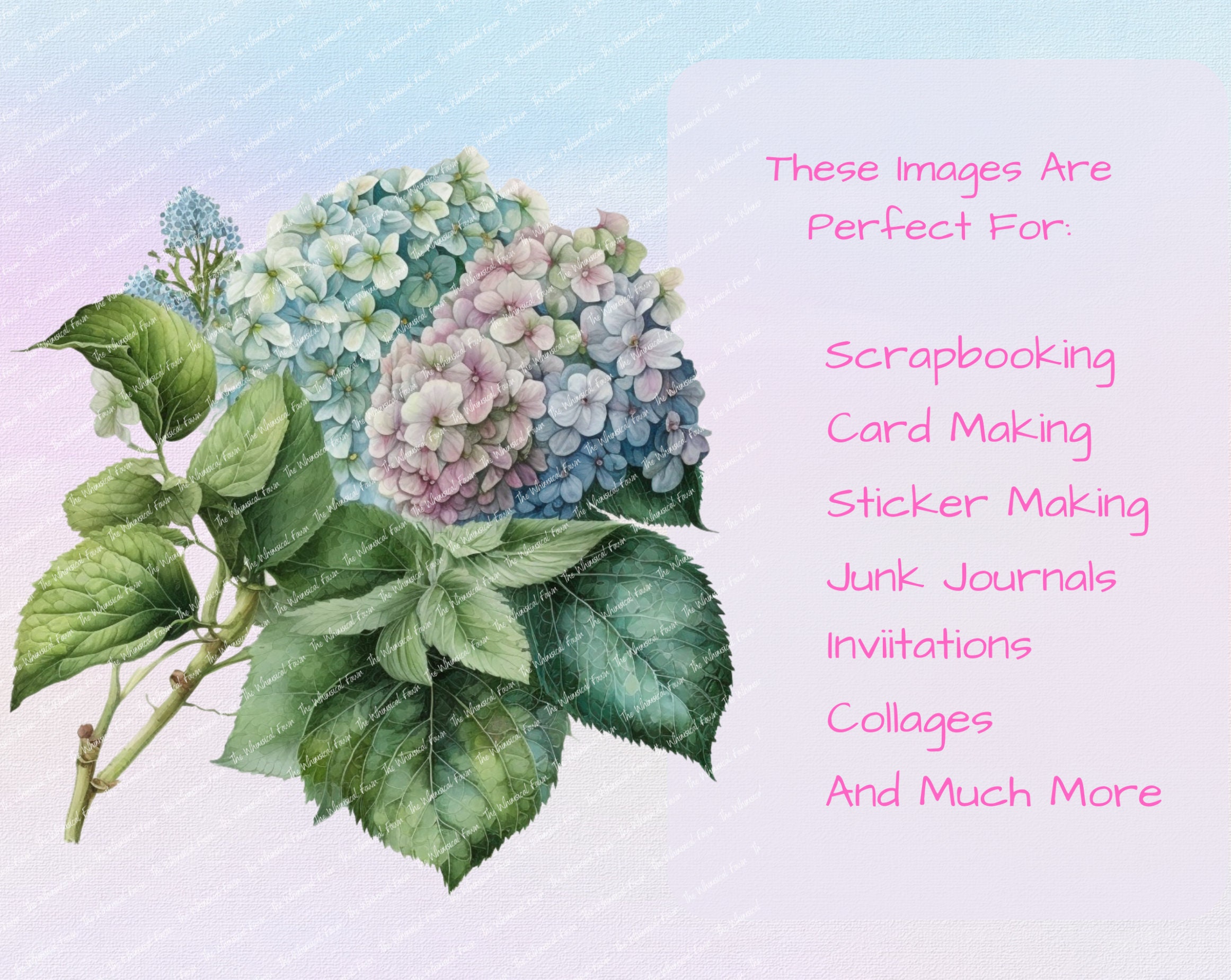 Watercolour Hydrangeas Clipart Mothers Day PNG Digital Image - Etsy