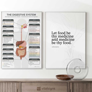 Digital Download - the Digestive System - Mechanical and Chemical ...