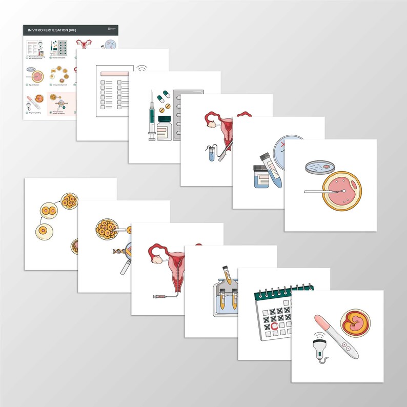 IVF Image Bundle: in Vitro Fertilization Anatomy Art (digital Download ...