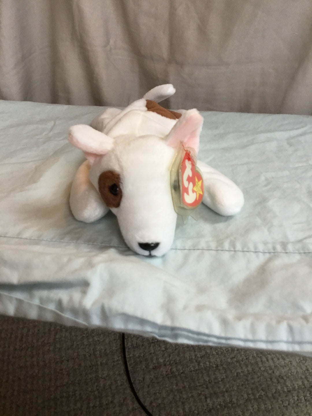Ty Beanie Baby, "butch" the Bull Terrier, Vintage, Rare, 1999 - Etsy