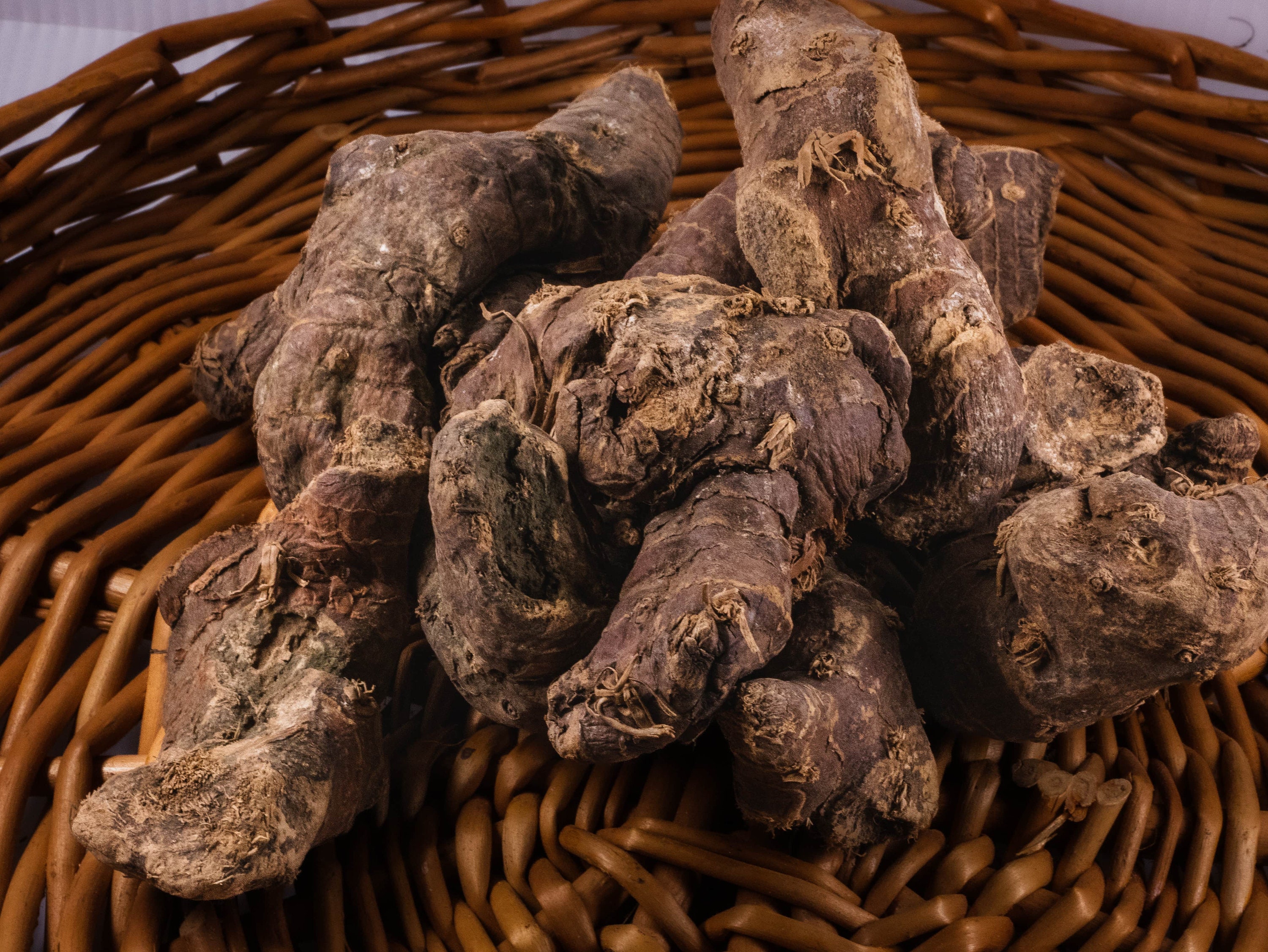 1 Ounce of Low John to Chew Root Chewing John Root whole - Etsy