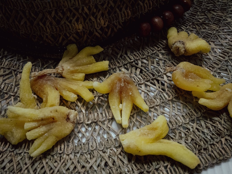 Whole Lucky Hand Root many Sizes Available - Etsy