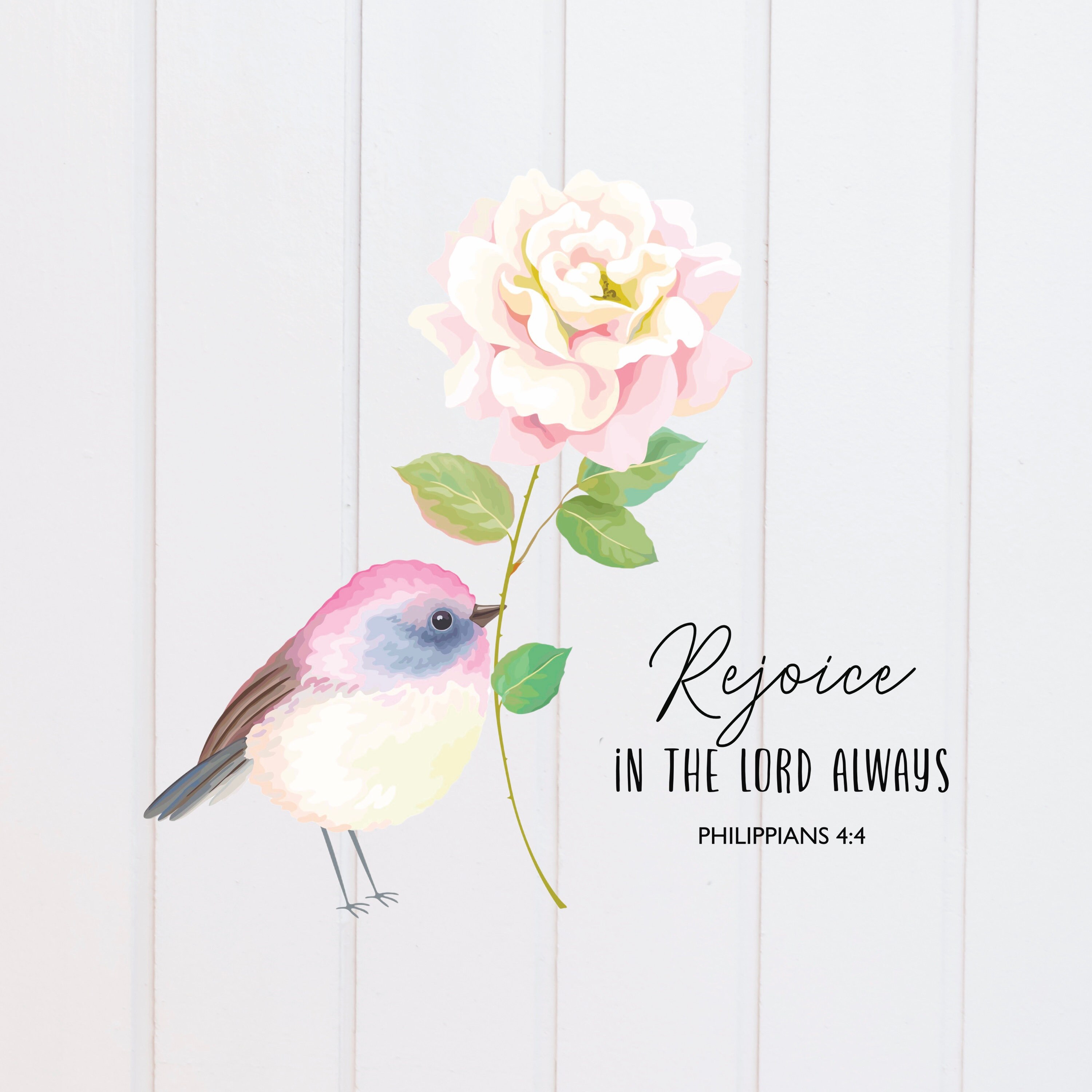 PNG File - Rejoice in the Lord Always Philippians Bird Floral ...