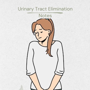 Urinary Tract Elimination Nursing Notes, Instant Download, Concise 10 ...