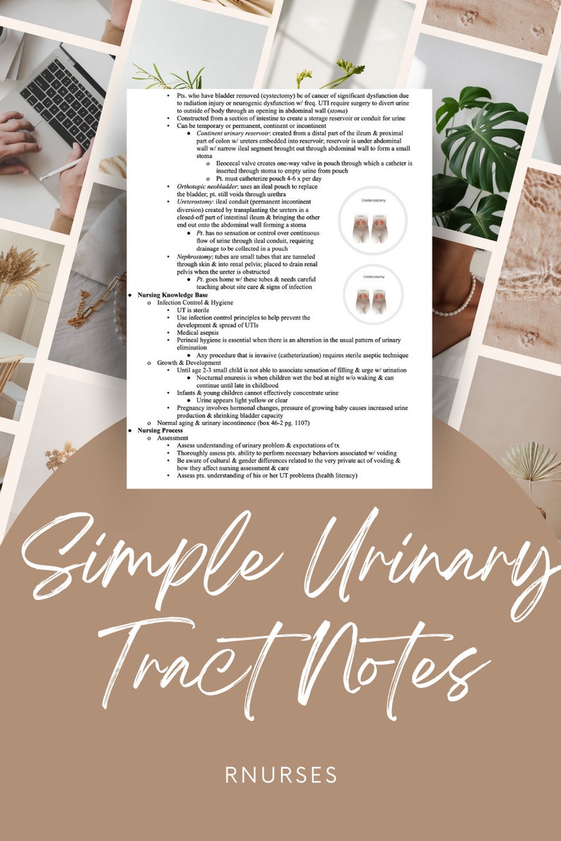 Urinary Tract Elimination Nursing Notes, Instant Download, Concise 10 ...