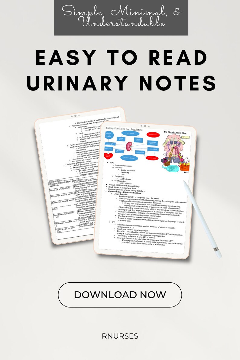 Urinary Tract Elimination Nursing Notes, Instant Download, Concise 10 ...