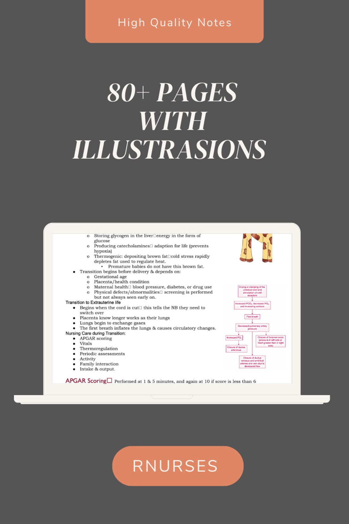 OB & Maternity Nursing Notes Part 2, Digital Download, 80+ Pages, Pass ...