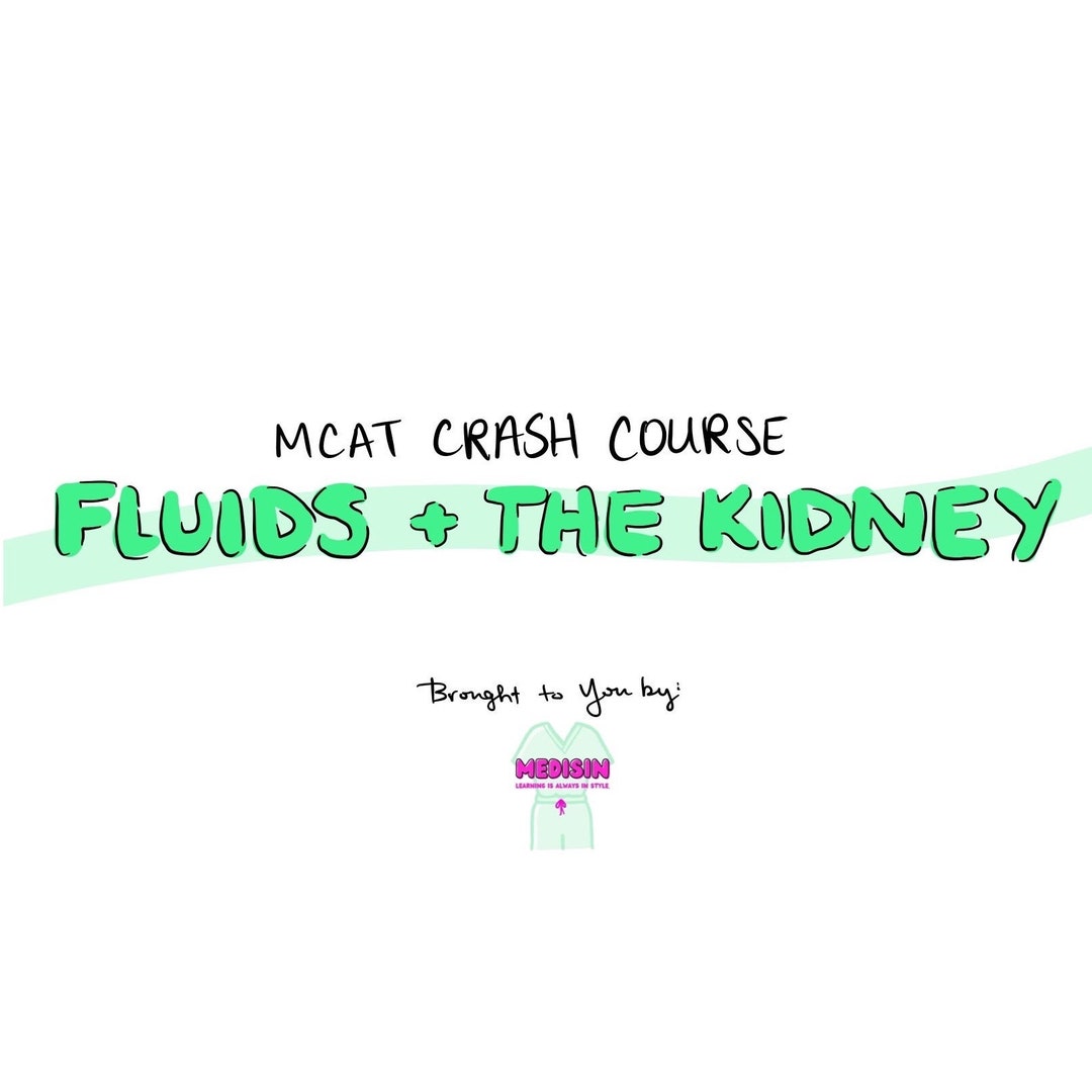 MCAT Crash Course - Fluids and the Kidney - Etsy