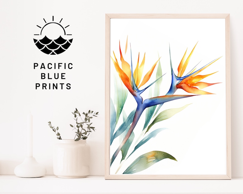 Original Watercolor Bird of Paradise Print on Thick Matte Paper ...