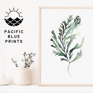 Seaweed Watercolor Print, Minimalist Island Art - Etsy