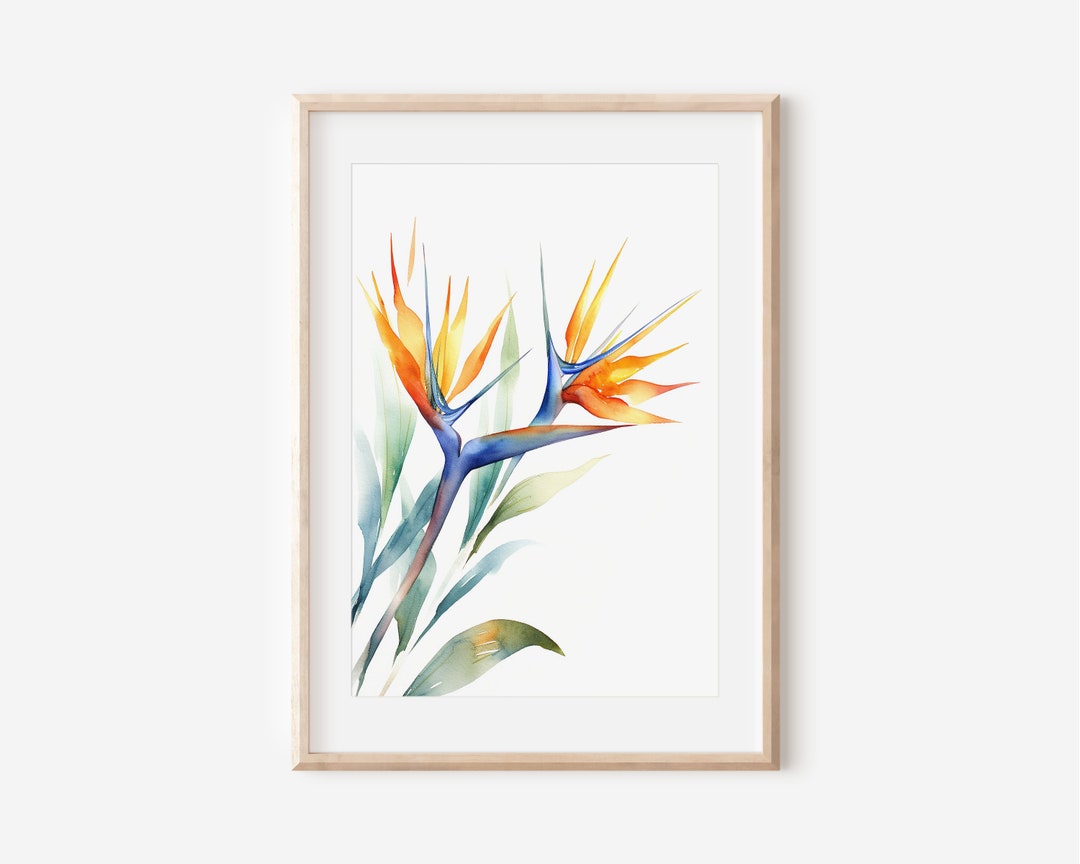 Original Watercolor Bird of Paradise Print on Thick Matte Paper ...
