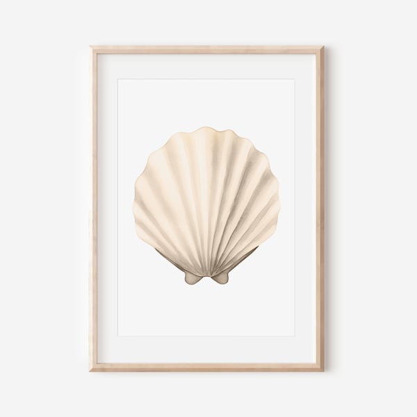 Seashell Decor - Etsy