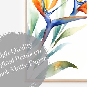 Original Watercolor Bird of Paradise Print on Thick Matte Paper ...