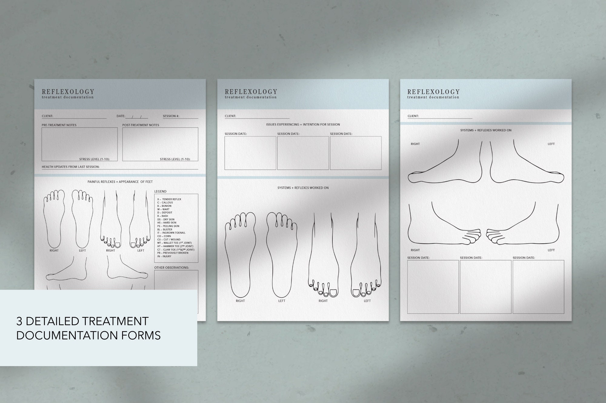 Blue Intake Form | Reflexology Intake Form | Client Intake Form ...