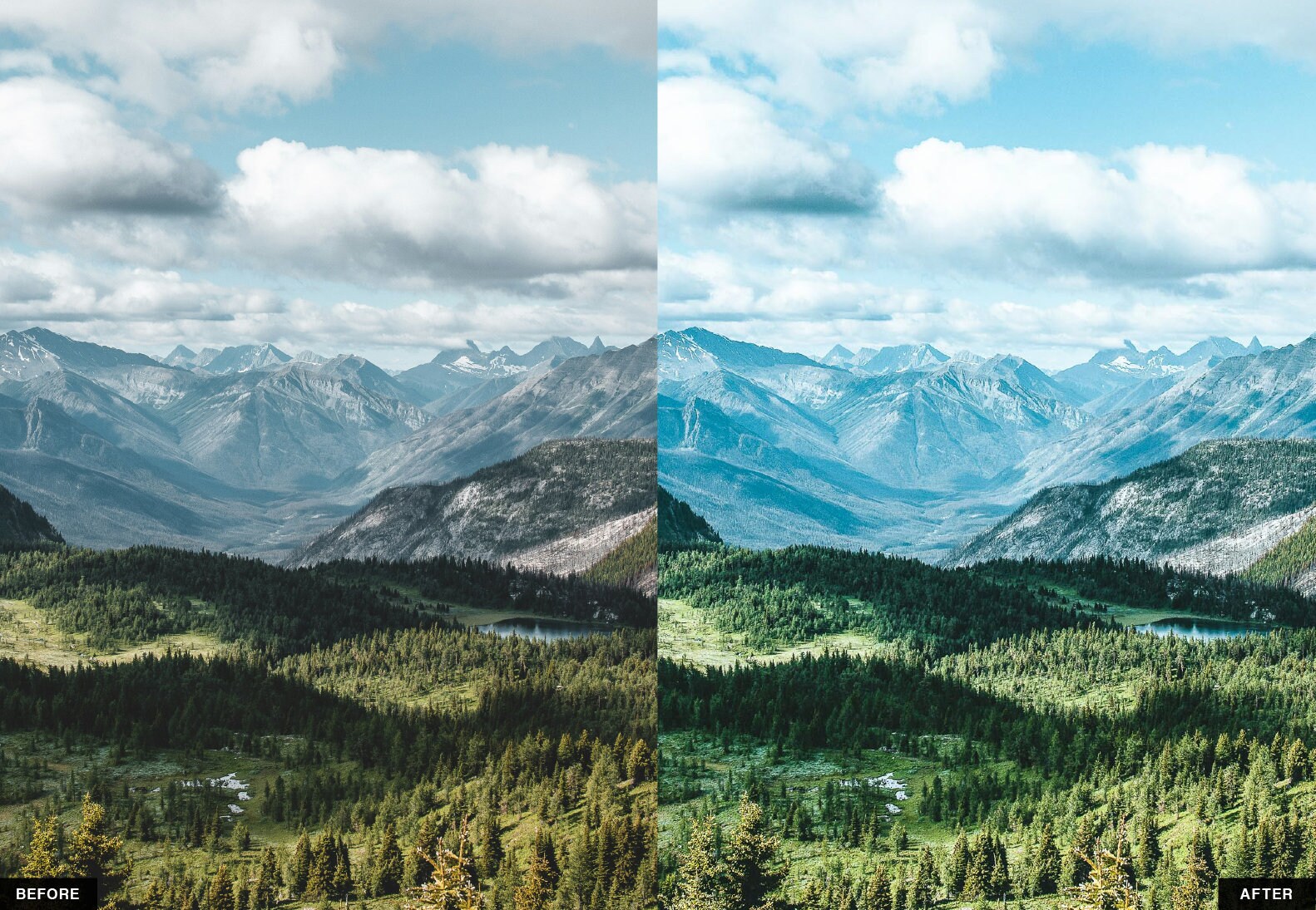 20 WILDERNESS Lightroom Mobile & Desktop PRESETS Forest, Tropical ...