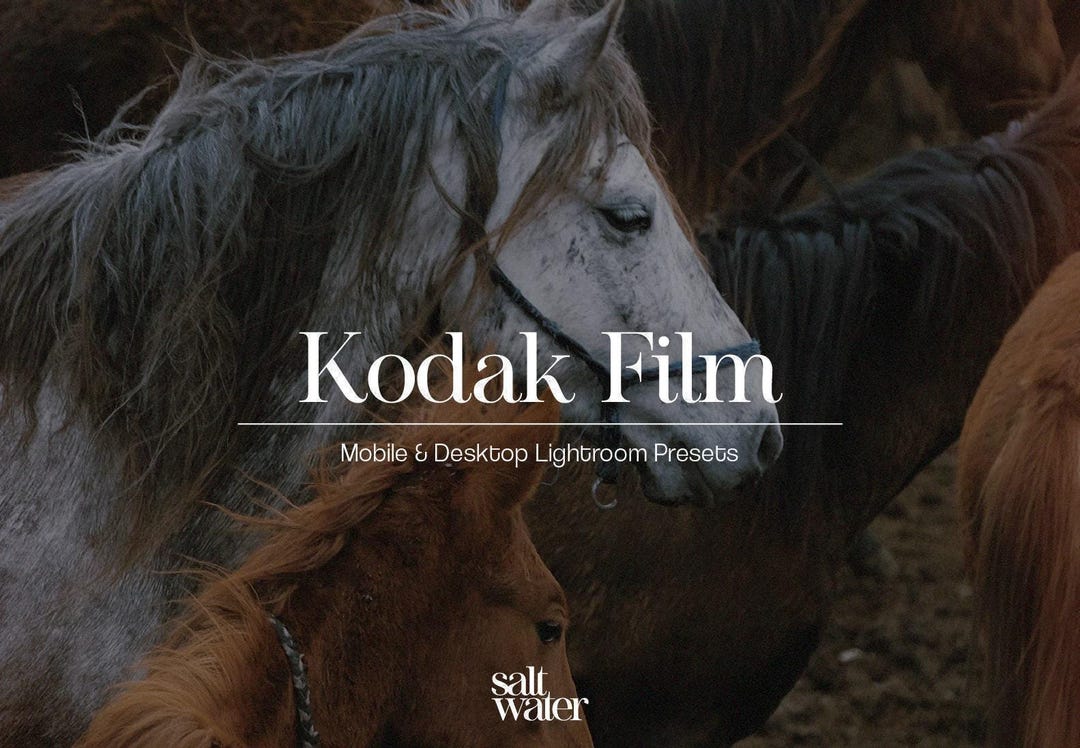 Kodak Film Lightroom Preset | 10 Warm Grainy Film Filters | Travel ...