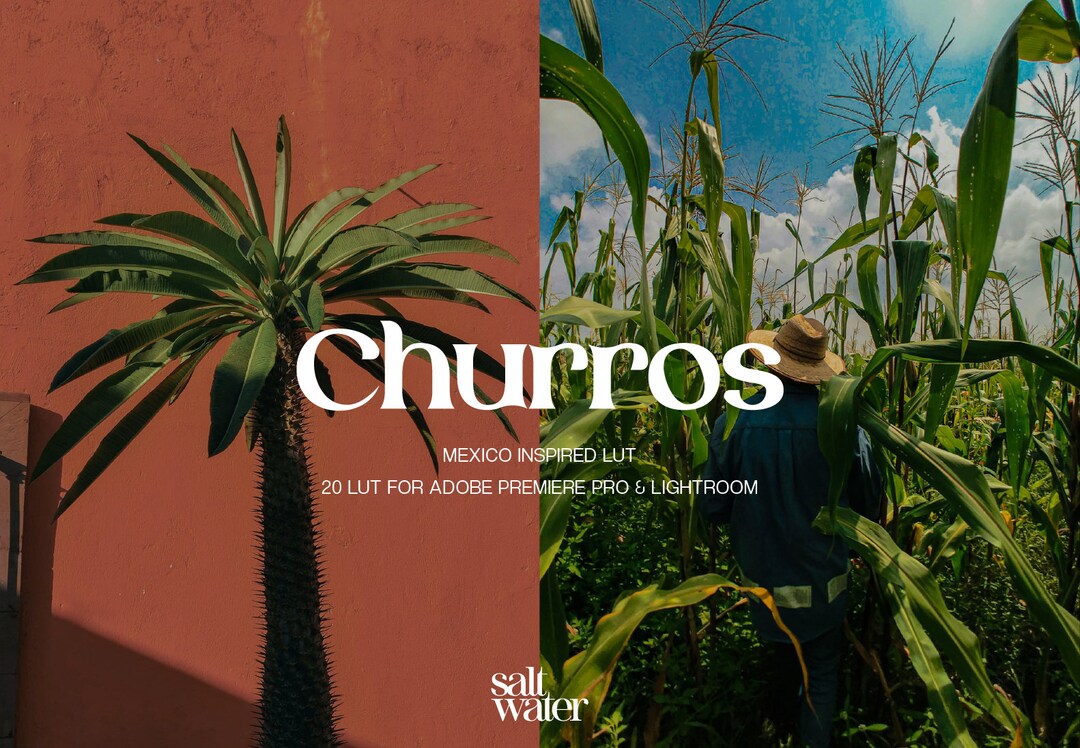 20 Mexico Inspired Video Presets, Luts Churros, Film Filter, Video ...