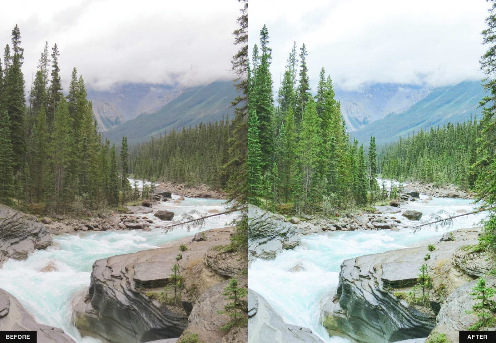 20 WILDERNESS Lightroom Mobile & Desktop PRESETS Forest, Tropical ...