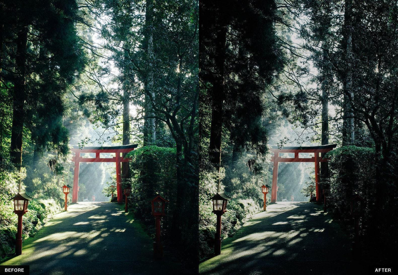 Cinematic Japan Bundle | Lightroom Preset & Luts, Travel, Holiday, Trip ...
