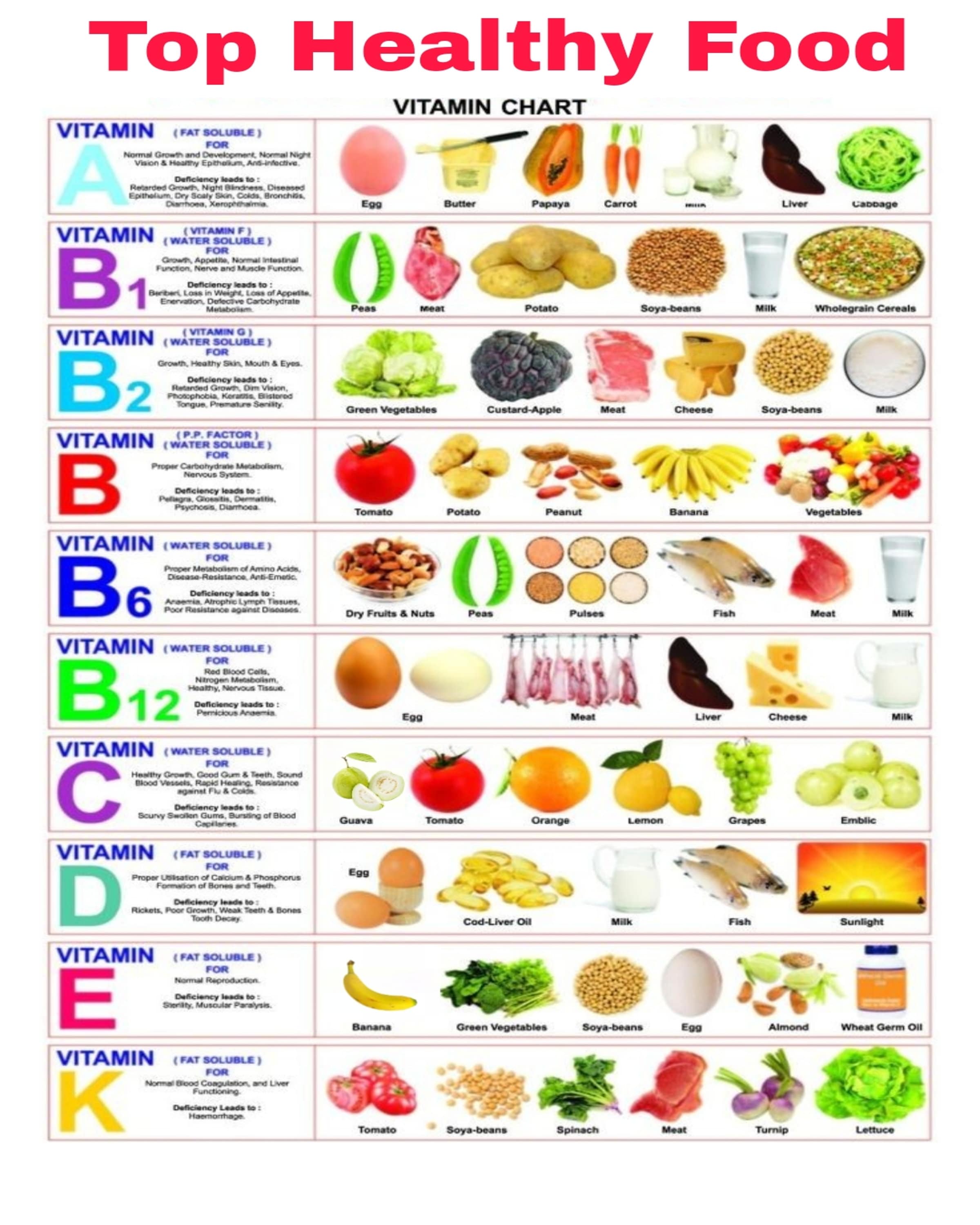 Top Healthy Food Vitamin Chart School Poster Vitamin Chart - Etsy