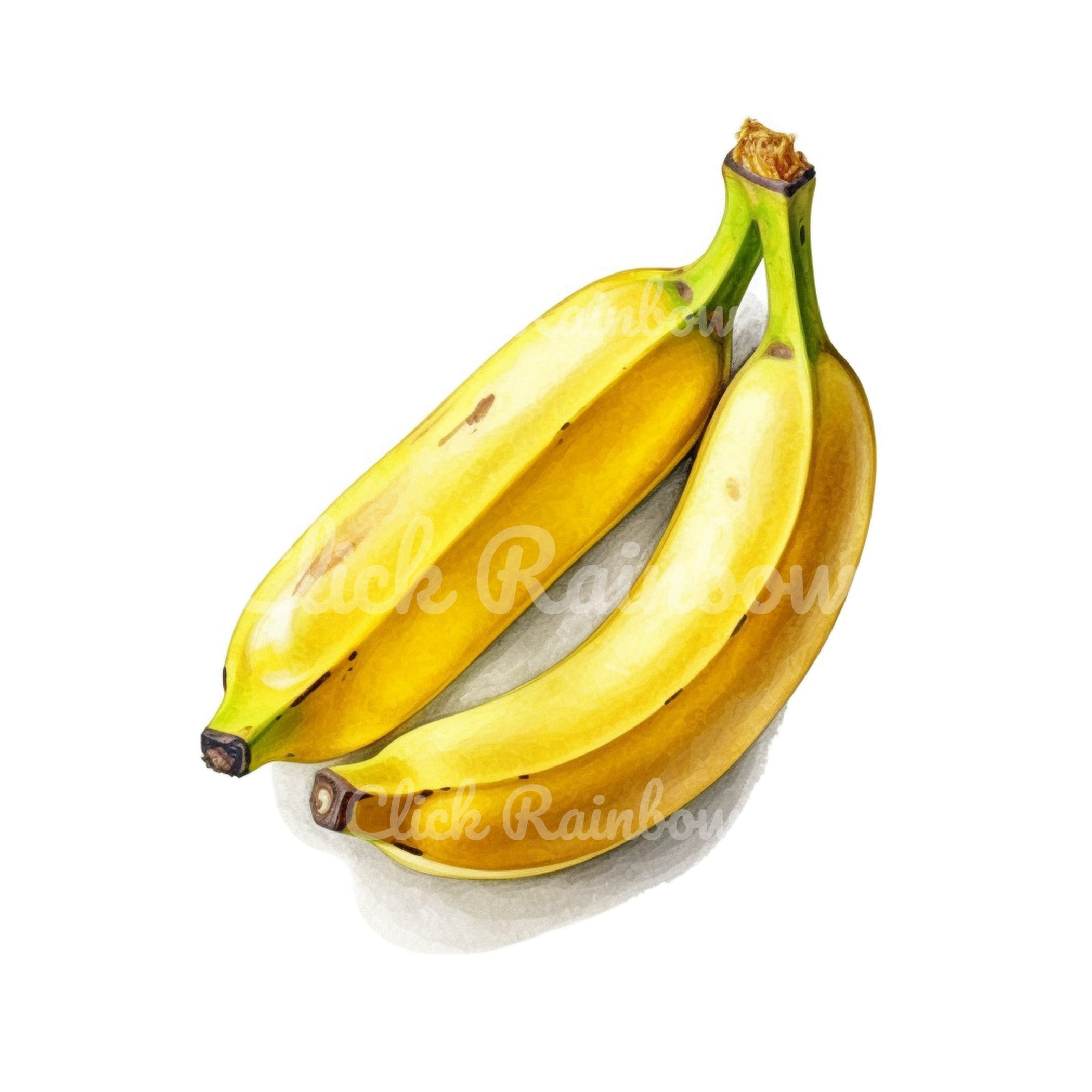 Banana Clipart, 12 Banana PNG, Banana Illustration, Banana Printable ...