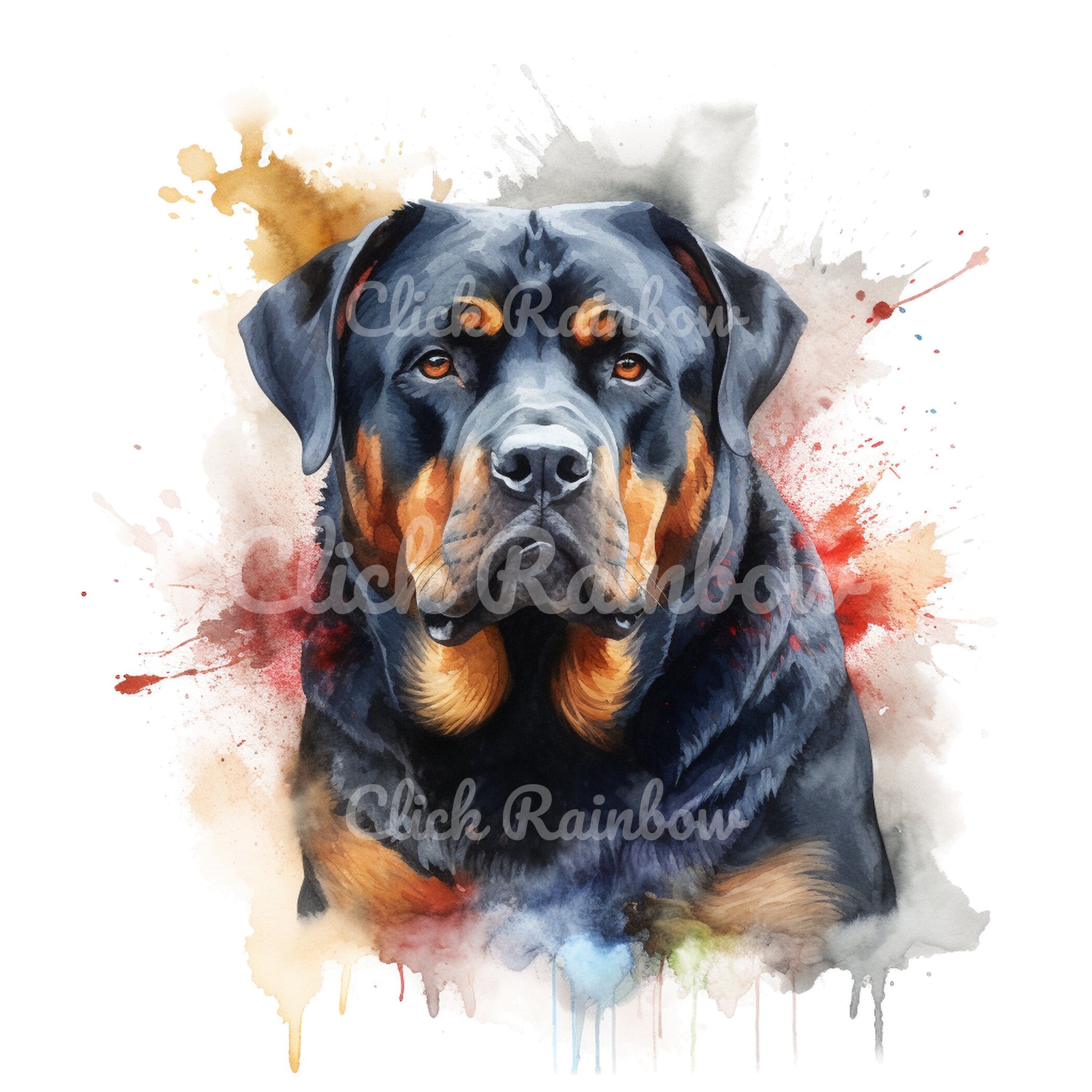 Rottweiler Clipart, 12 Rottweiler PNG, Rottweiler Canvas, Rottweiler ...