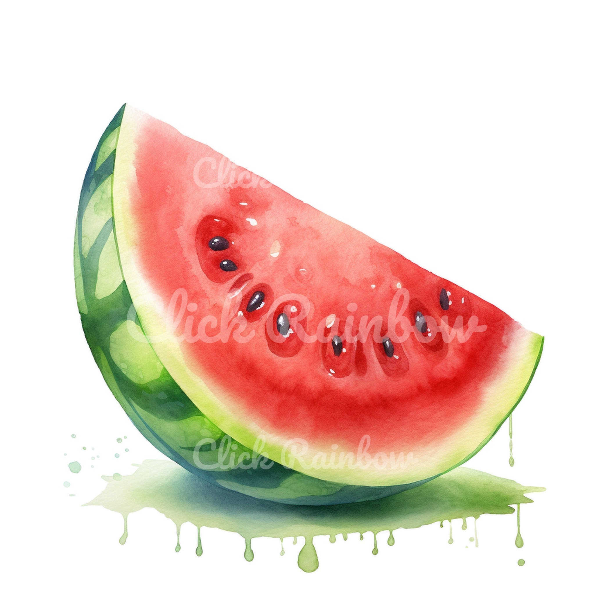 Watermelon Clipart, 12 Watermelon PNG, Watermelon Illustration ...