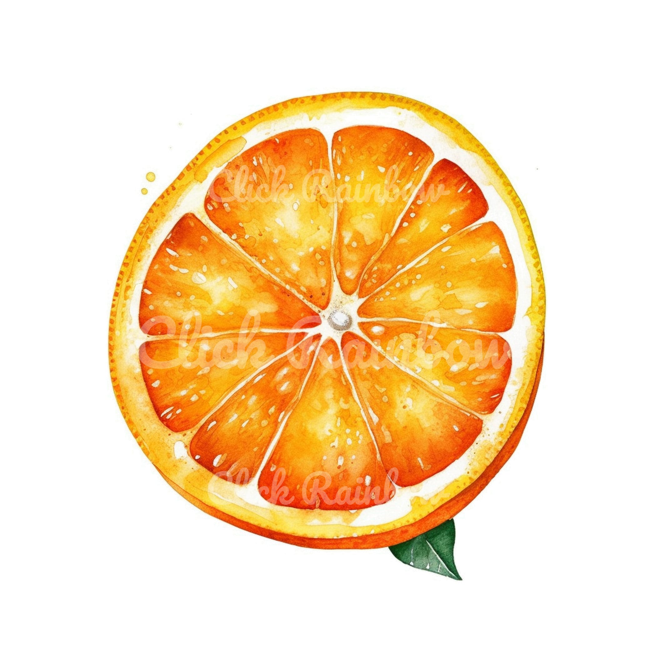 Orange Watercolor Clipart: 12 PNG Illustrations (digital Download) - Etsy