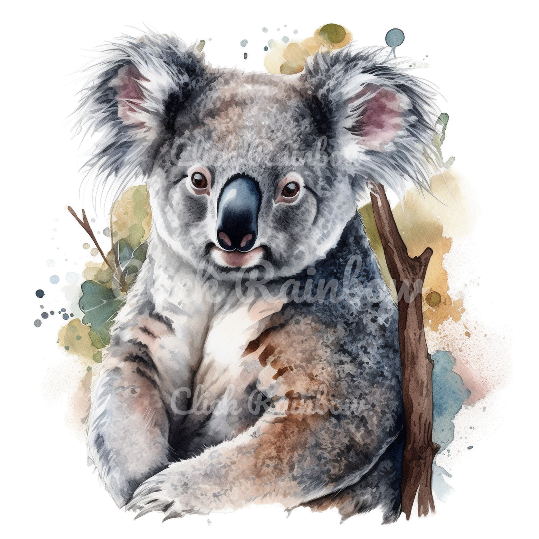 Koala Clipart, 12 Koala PNG, Koala Canvas, Koala Sublimation, Koala ...