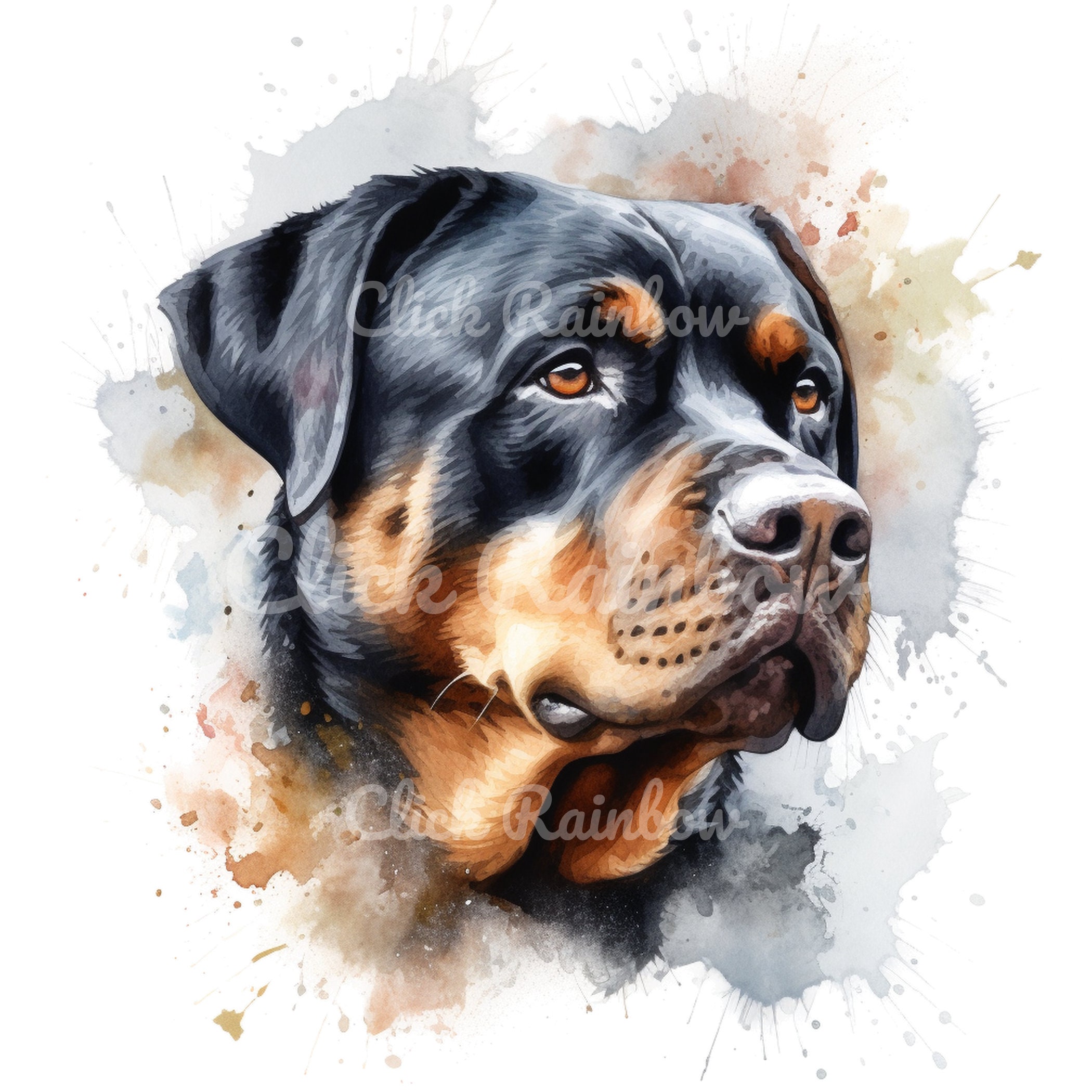 Rottweiler Clipart, 12 Rottweiler PNG, Rottweiler Canvas, Rottweiler ...