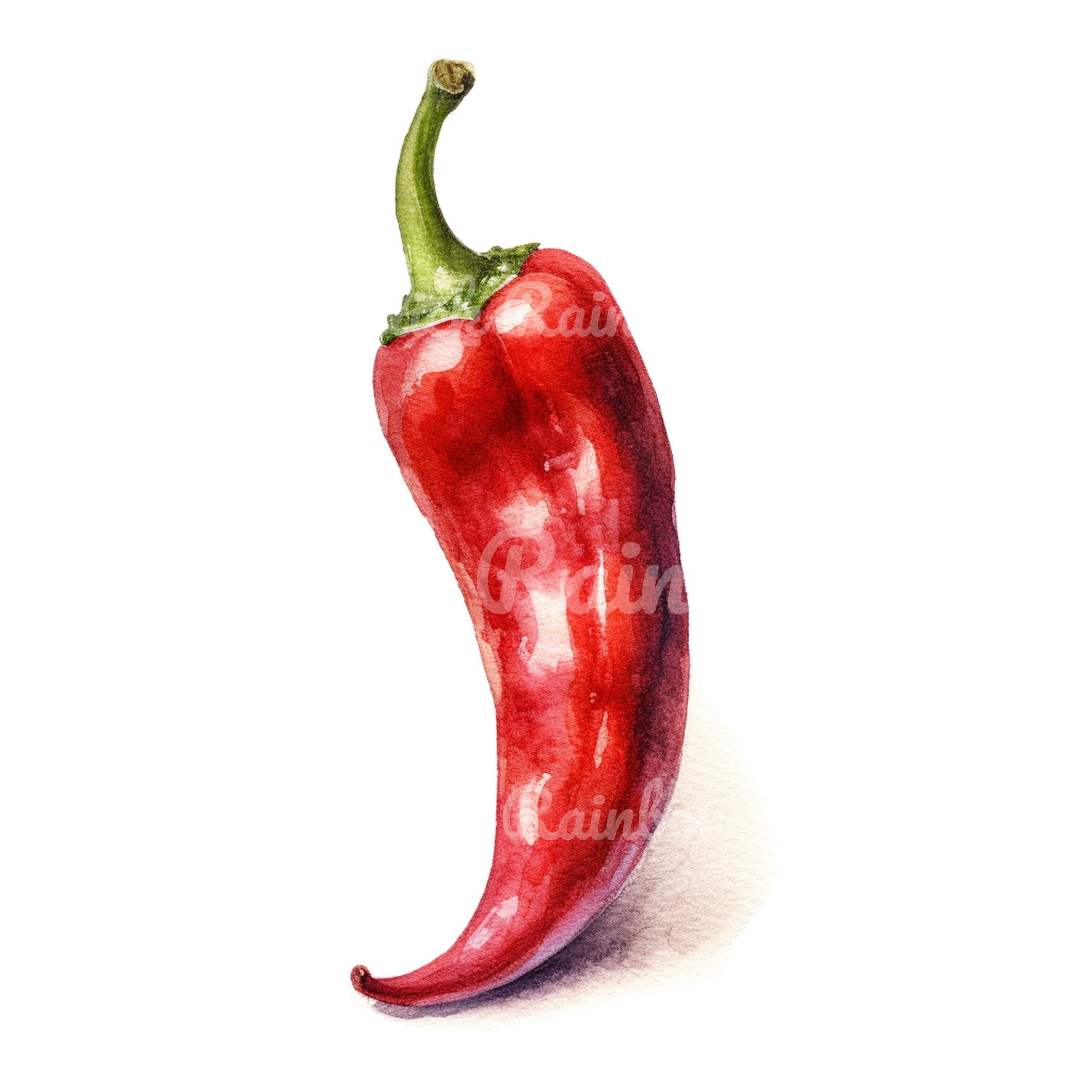 Chilli Clipart, 12 Chilli PNG, Chilli Illustration, Chilli Painting ...
